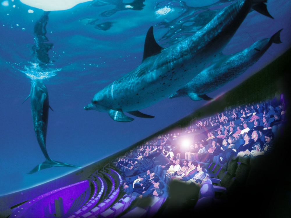 Guida al cinema 3D: come funziona e cos'è l'IMAX - Tecnocino